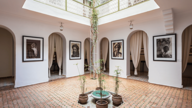 The 10 Best Things to Do with Kids in Harare – Willow Lodge Harare